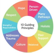 10 Guiding Principles of Recovery - Hill Country Council on Alcohol and ...